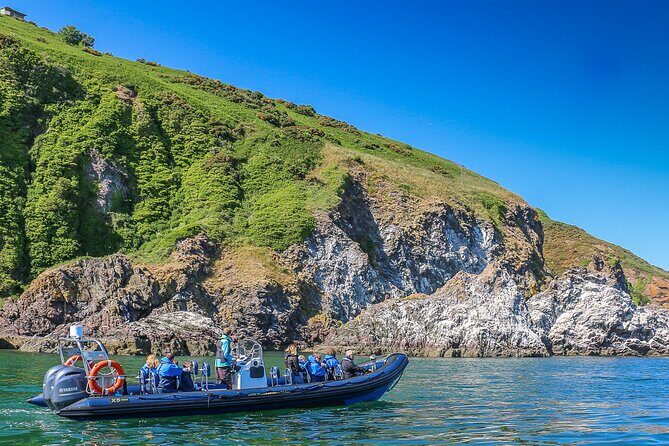 Wildlife Watching Boat Tour - Moving Out: Cromarty to the Inner Moray Firth