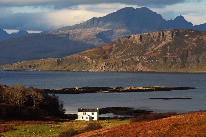 Wildlife Watching Safari by Vehicle & Walks / Photography workshops with a Guide - An In-Depth Look at the Wildlife Watching Safari Experience