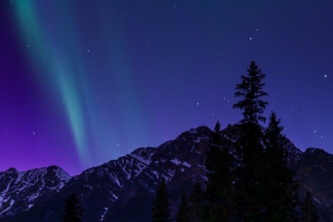 Wildlife Wild Skies: Jasper Planetarium Combo - Overview of the Tour