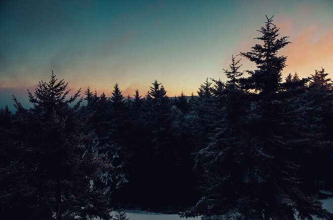 Wildlife Wild Skies: Jasper Planetarium Combo - Final Thoughts