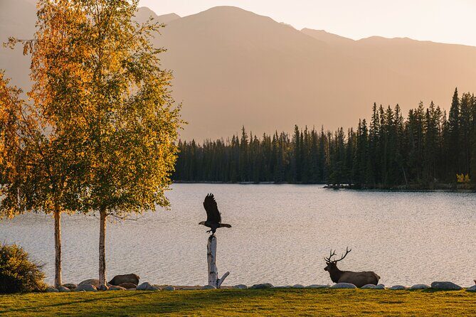 Wildlife Wild Skies: Jasper Planetarium Combo - Frequently Asked Questions (FAQs)
