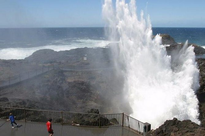 Wildlife, Wine & Waves  Epic South Coast Adventure from Sydney - Key Points