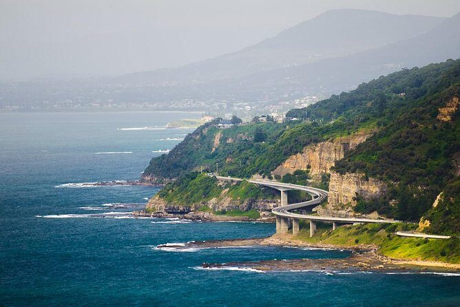 Wildlife, Wine & Waves  Epic South Coast Adventure from Sydney - What Travelers Say