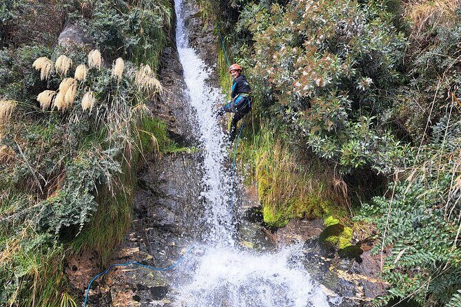 Wildwire Wanaka- Climb & Canyon (4-5 Hours) - Authentic Experiences From Past Participants
