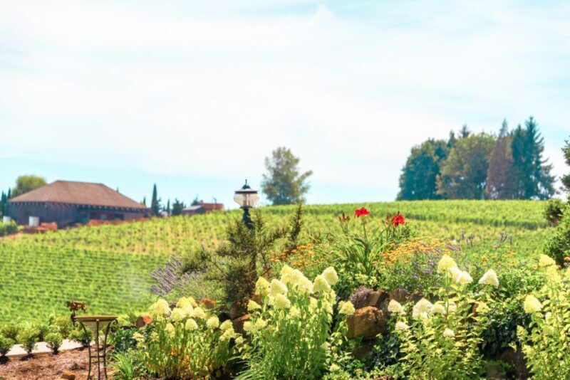 Willamette Valley Wine Tour - FAQ