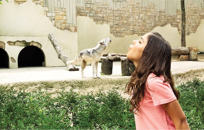 Williamsburg: Busch Gardens Ticket & Water Country Option - Key Points