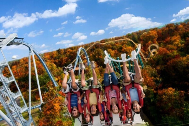 Williamsburg: Busch Gardens Ticket & Water Country Option - Is This Tour Worth It?
