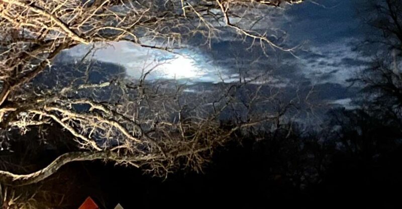 Williamsburg: Dead of Night Paranormal investigations Tour - The Value of This Experience