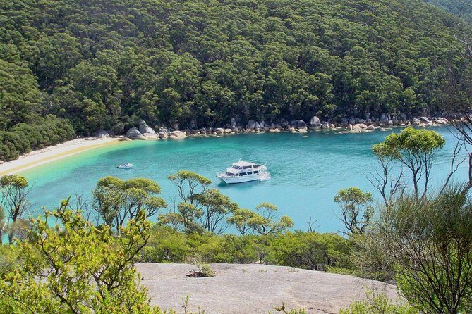 Wilsons Promontory Full Day Cruise - Authentic Experiences and Traveler Insights