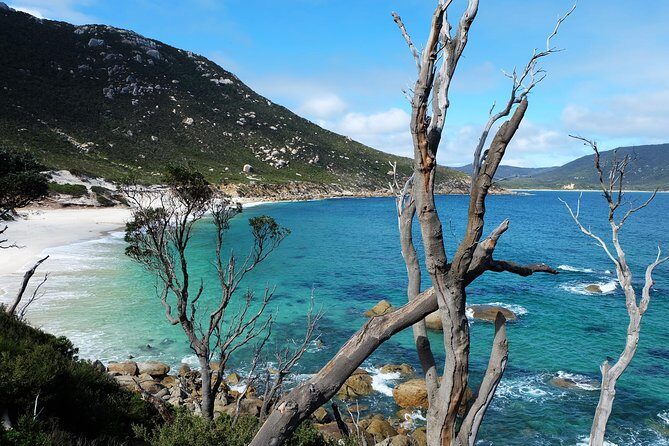 Wilsons Promontory Hiking Day Tour - 8 Person Max Small Group - The Sum Up