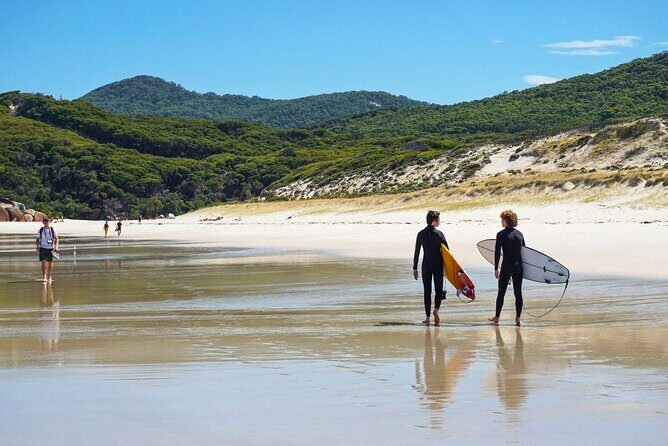 Wilson's Promontory Small Group Eco Tour from Melbourne - An In-Depth Look at the Wilsons Promontory Small Group Eco Tour