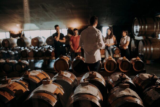 Wine and Balsamic Vinegar Tour with Tasting - Key Points
