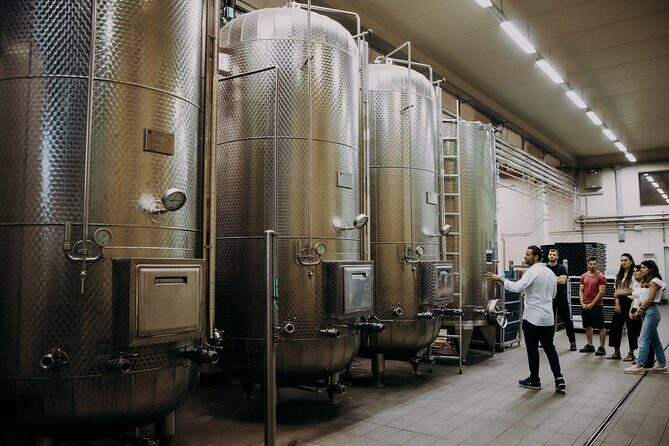 Wine and Balsamic Vinegar Tour with Tasting - What to Expect from the Tour