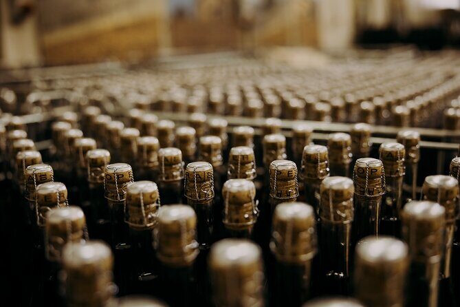 Wine and Balsamic Vinegar Tour with Tasting - Who Should Consider This Tour?