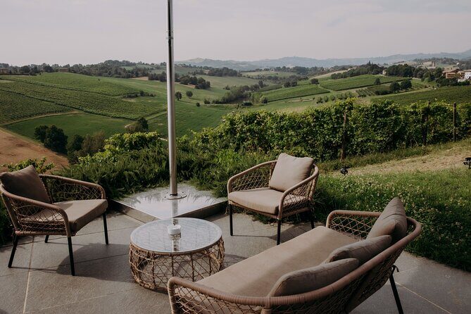 Wine and Balsamic Vinegar Tour with Tasting - The Sum Up