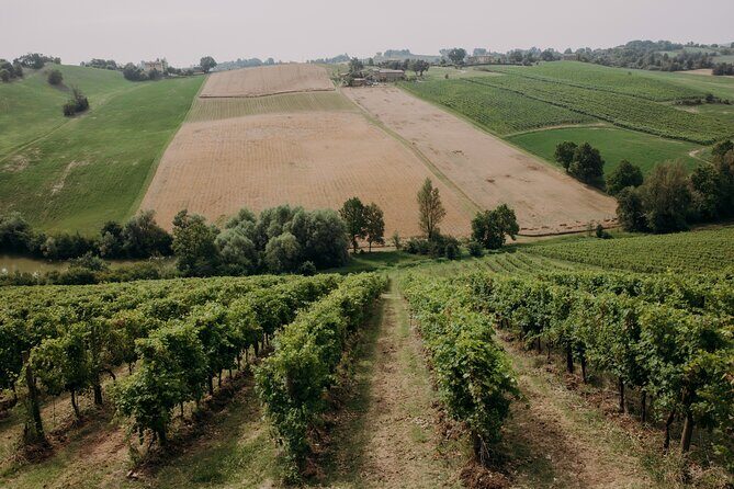 Wine and Balsamic Vinegar Tour with Tasting - FAQ