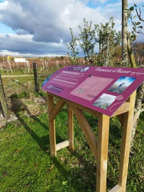 Wine and Cheese experience - Key Points