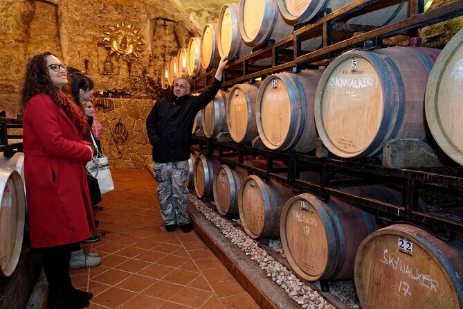 Wine and Culinary Adventure in Jeruzalem - Full Day Tour from Ljubljana or Ptuj - Delving into the Details