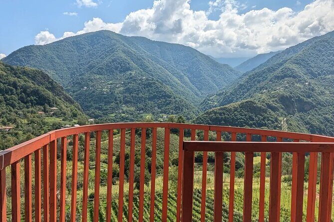 Wine and Dine Tour To Batumi Waterfalls - Mountainous Adjara - Final Thoughts: Who Is This Tour Best For?