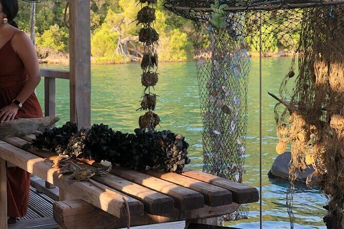 Wine and Food Daily Tour - Who Will Enjoy This Tour?