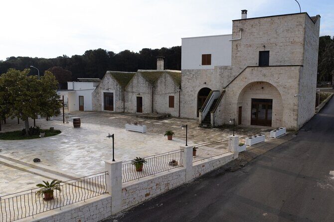 Wine and Food Pairing Experience at Alberobello Winery - Authentic Food and Wine Pairing at Alberobello Winery: A Detailed Review