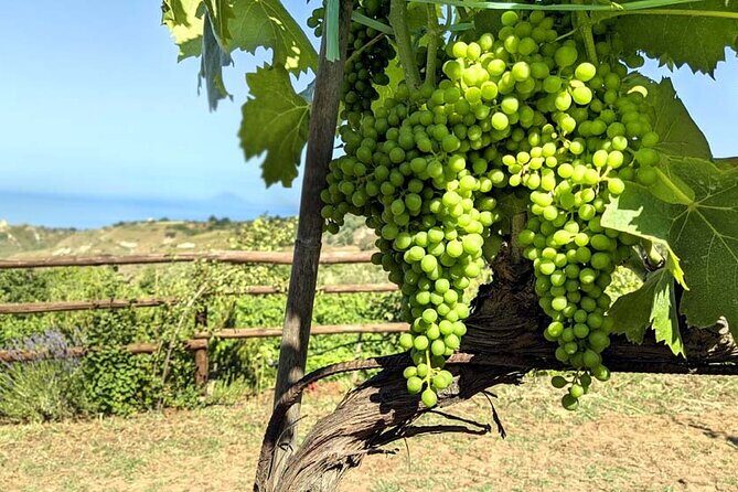 Wine and food tasting - Who Should Consider This Tour?