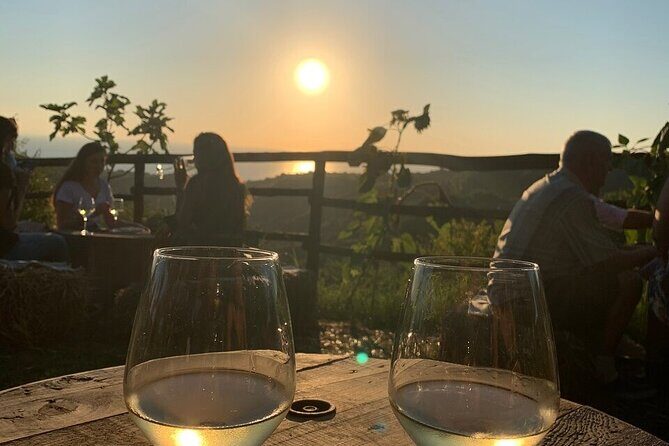 Wine and food tasting - FAQ