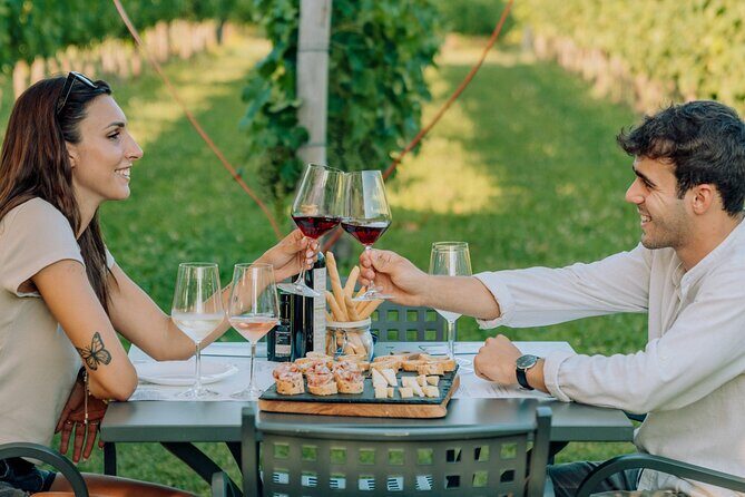 Wine and Food Tasting in the Vineyards in Lazise - Introduction