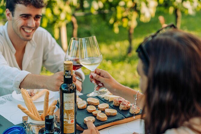 Wine and Food Tasting in the Vineyards in Lazise - Key Points