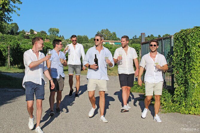 Wine and Food Tasting in the Vineyards in Lazise - The Sum Up