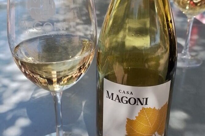 Wine and gastronomic tour in Guadalupe Valley for groups 6 - Key Points