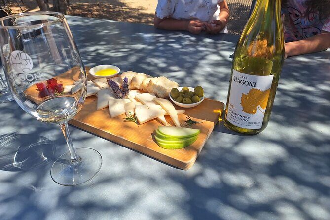 Wine and gastronomic tour in Guadalupe Valley for groups 6 - In-Depth Look at the Guadalupe Valley Wine and Gastronomic Tour