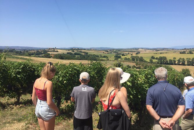 Wine and olive oil tastings with the locals - Key Points
