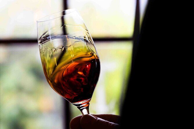 Wine and Scenic Beauty in Douro Valley - Detailed Review of the Douro Valley Tour