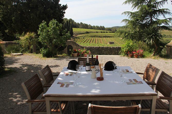 Wine & Cava Penedes Tour: Wineries, Wine Tasting and Tapas - A Taste of Authentic Catalonia: The Wine & Cava Penedes Tour Review