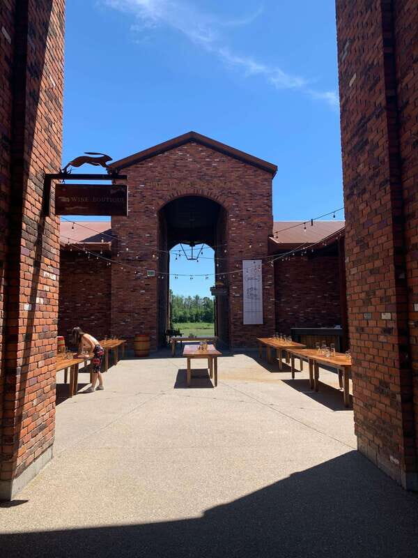 Wine & Cheese Afternoon Wine Tours in NOTL - The Sum Up