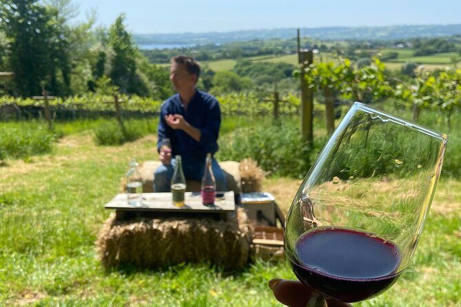 Wine & Cheese in the Somerset Valleys - with Michelin-star lunch! - What We Love About the Experience