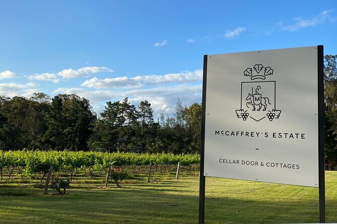 Wine & Cheese Tasting Experience in Hunter Valley - Group Size and Accessibility