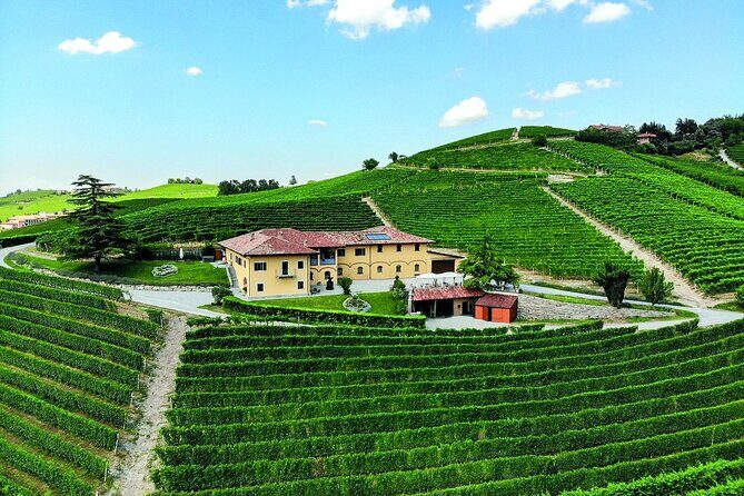 Wine & Chocolate Tour and Tasting in Alba area - Final Thoughts