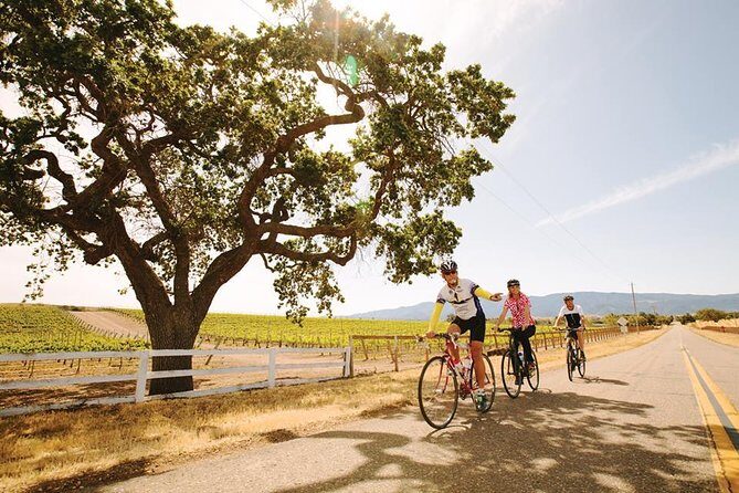 Wine Country Farm to Table Bike Tour w/Lunch - Exploring Santa Barbara’s Wine Country on Two Wheels