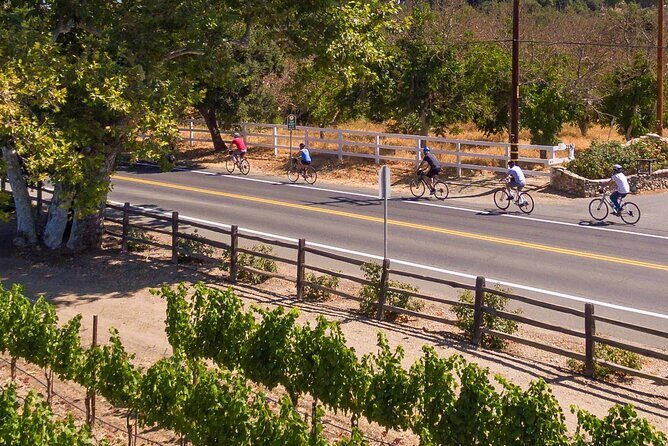 Wine Country Farm to Table Bike Tour w/Lunch - An In-Depth Look at the Santa Barbara Wine Country Bike Tour