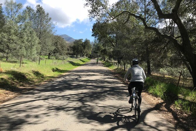 Wine Country Half-Day Bike Tour from Solvang - w/o Lunch - Exploring the Santa Barbara Wine Country by Bike: A Detailed Review