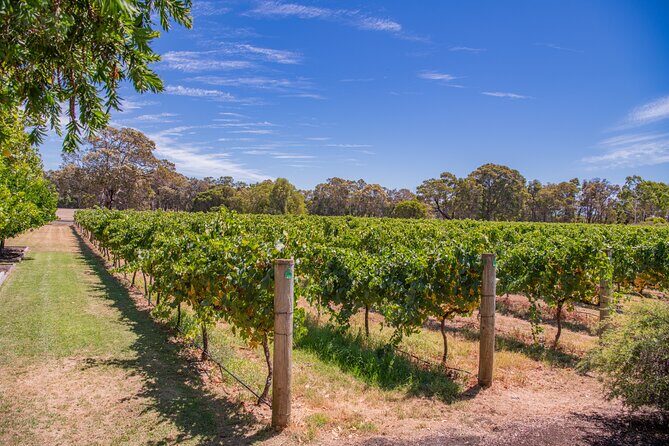 Wine, Craft Beer & Gourmet Tasting Tour - Exploring the Itinerary in Detail