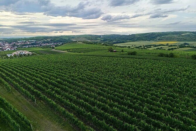 Wine Culture and UNESCO Gems Lednice Valtice Area and Mikulov - FAQs
