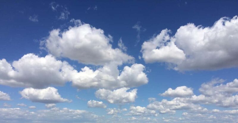 Wine Experience around Cagliari - Key Points