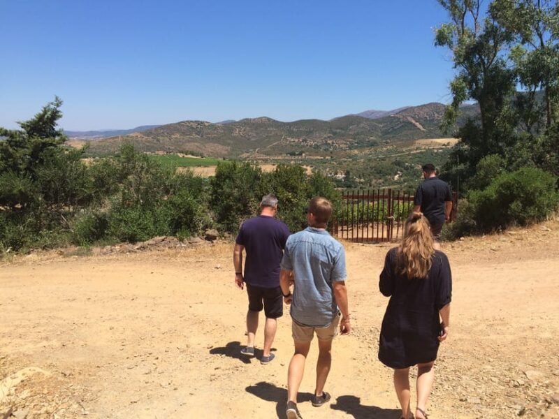 Wine Experience around Cagliari - Practical Details and Tips