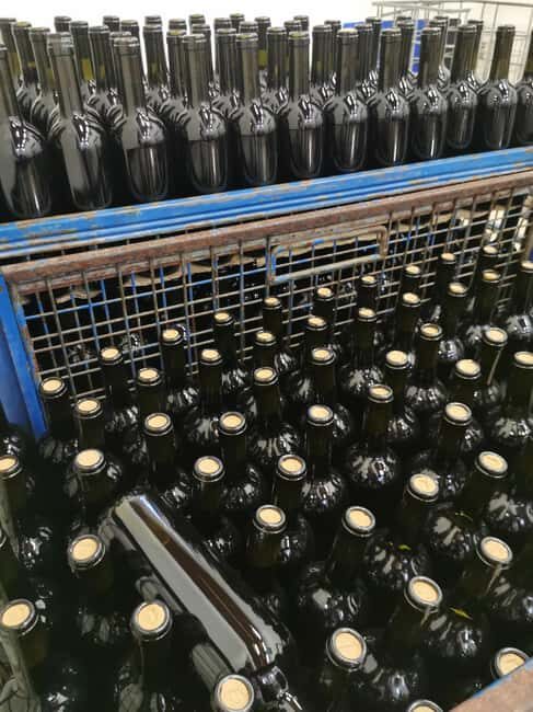 Wine Experience around Cagliari - Frequently Asked Questions