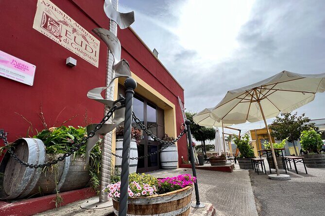 Wine Experience - Final Thoughts