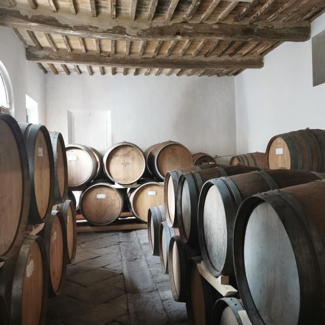 Wine Experience in an Organic Chianti Winery - Key Points
