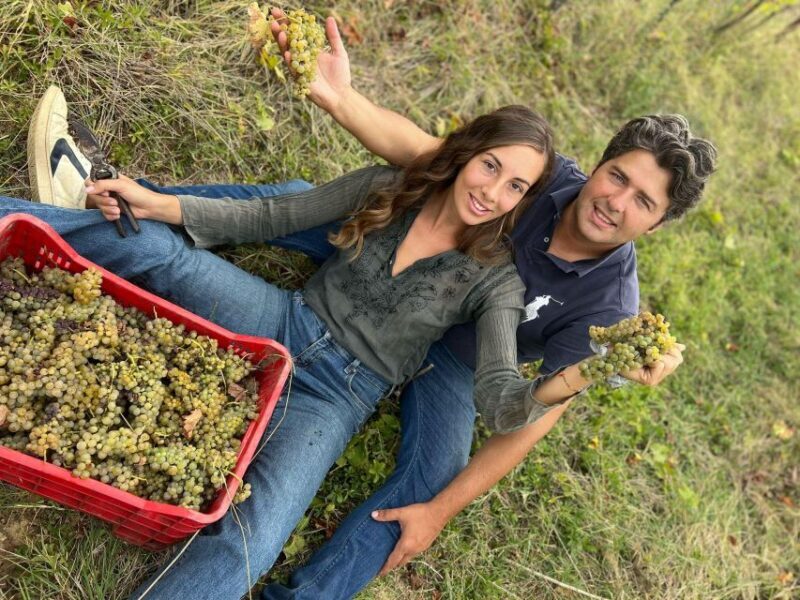 Wine Experience in an Organic Chianti Winery - FAQ